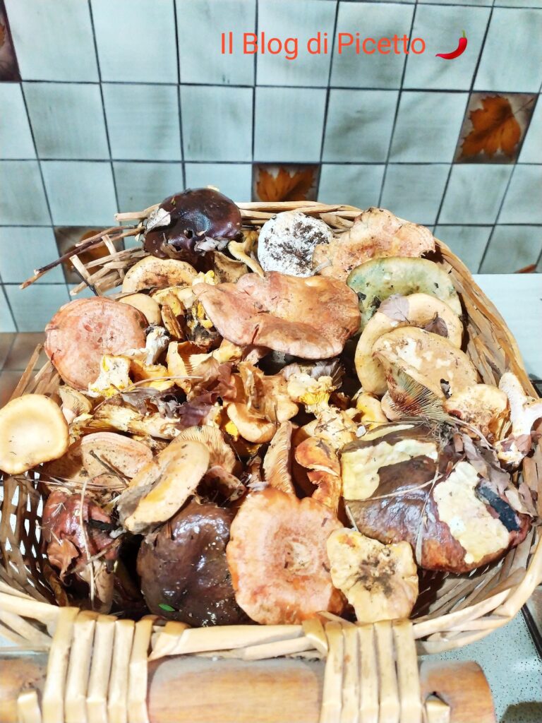Funghi sott'olio ricetta della nonna
